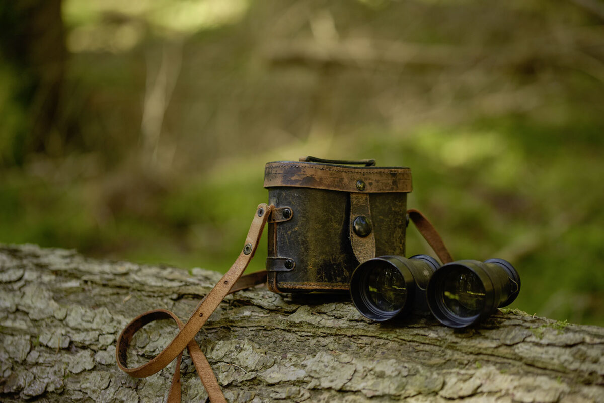Bathing without water—six tips for forest bathing